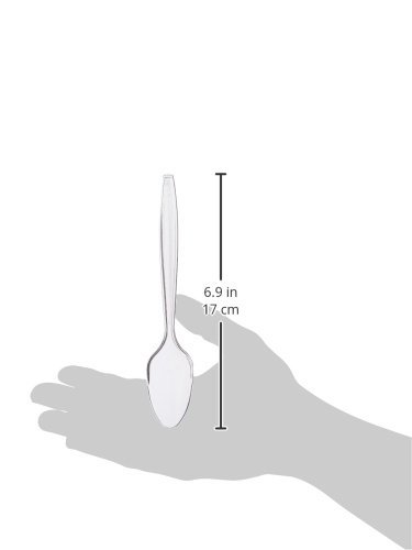 Amscan Big Party Pack Plastic Spoons, One Size, Clear, 6