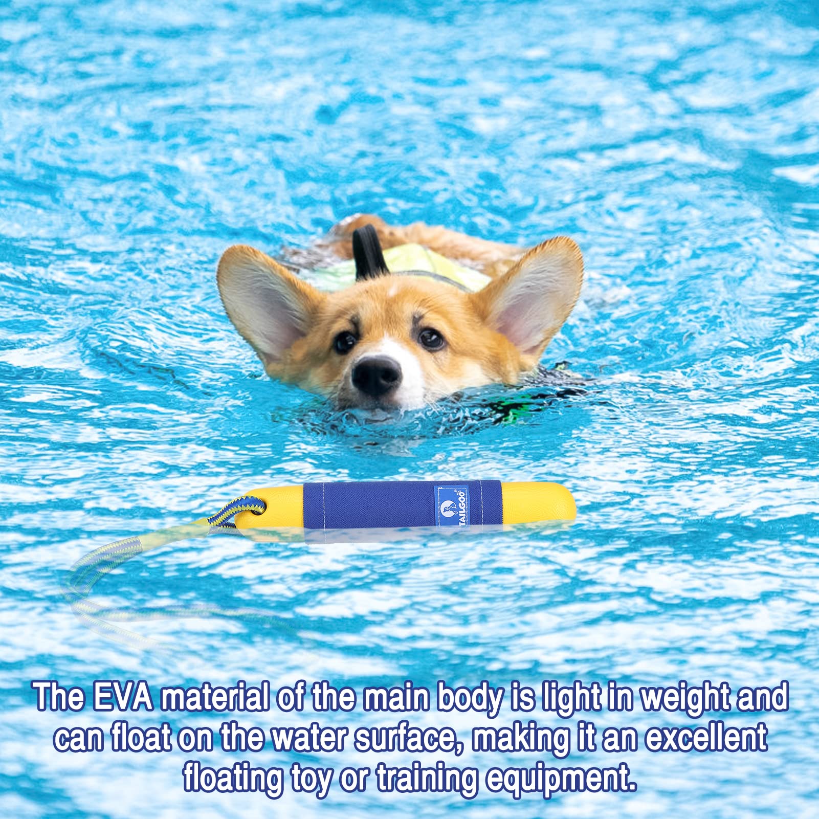 TAILGOO Dog Pool Fetch Toys Interactive Water Floating Toys Outdoor Beach Training Bumpers for Summer, 2 Pack, 10"