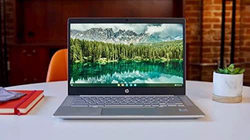 HP Pro Chromebook Laptop c640EG1 14" FHD Intel Core i3-10310U, Intel UHD Graphics, 8GB DDR4 RAM, 64GB eMMC Storage, Chrome OS, Natural Silver (Renewed)