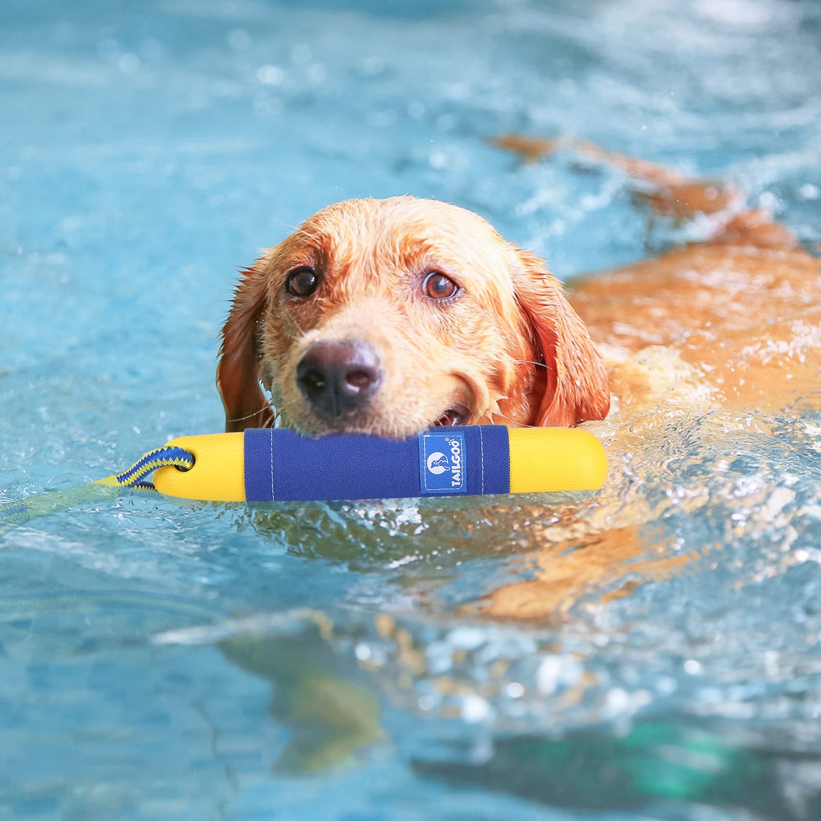 TAILGOO Dog Pool Fetch Toys Interactive Water Floating Toys Outdoor Beach Training Bumpers for Summer, 2 Pack, 10"