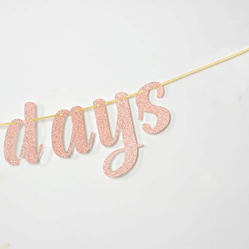 Rose Gold Happy 100 Days Banner, Kid's 100 Days Celebration,100th Day of School - Happy 100 Days Decorations - 100 Days Theme Party Decoration