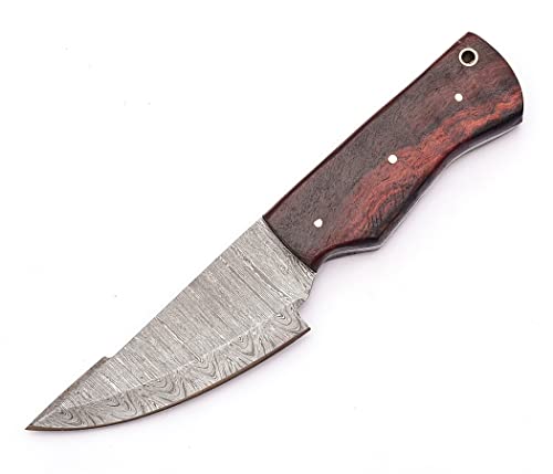 Sky Knives Handmade Fixed Blade High Carbon Steel, Damascus Hunting Knives, Bushcraft EDC Survival and Pocket Knife For Men With Sheath. (8 Inch Knife)