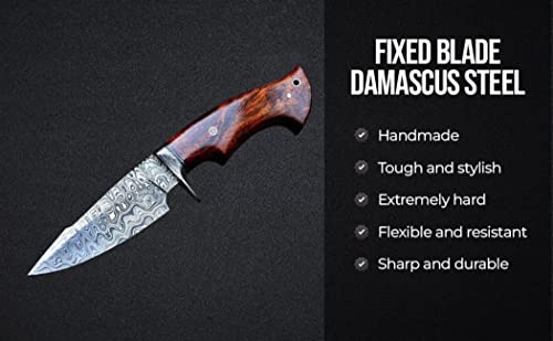 BIGCAT ROAR 10" Handmade Damascus Hunting Knife with Leather Sheath - Ideal for Skinning, Camping, Outdoor - EDC Fixed Blade Bushcraft Knife with Walnut Wood Handle - Predator Hunter