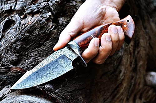 BIGCAT ROAR 10" Handmade Damascus Hunting Knife with Leather Sheath - Ideal for Skinning, Camping, Outdoor - EDC Fixed Blade Bushcraft Knife with Walnut Wood Handle - Predator Hunter