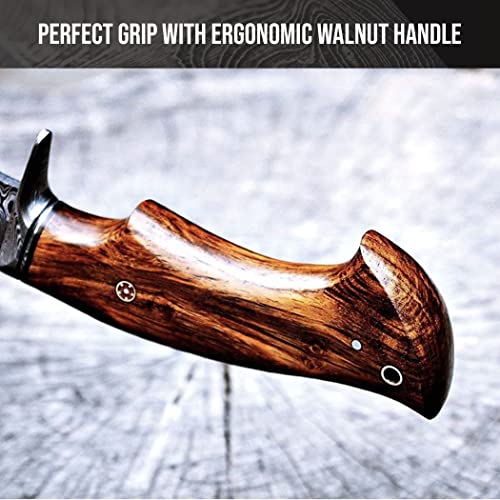 BIGCAT ROAR 10" Handmade Damascus Hunting Knife with Leather Sheath - Ideal for Skinning, Camping, Outdoor - EDC Fixed Blade Bushcraft Knife with Walnut Wood Handle - Predator Hunter