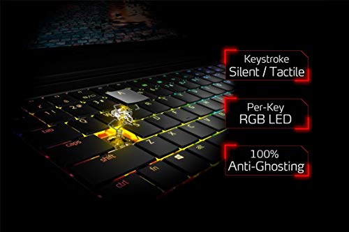 XPG Xenia Intel i7-9750H RTX 2070 Max-Q 8GB, 1TB NVMe SSD, 32GB RAM, Gaming Laptop (XENIA159GENI72070Q-BKCUS)