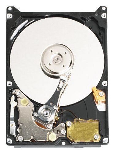 Western Digital 250 GB Scorpio Blue 100 Mb/s 5400 RPM 8 MB Cache Bulk/OEM Notebook Hard Drive - WD2500BEVE