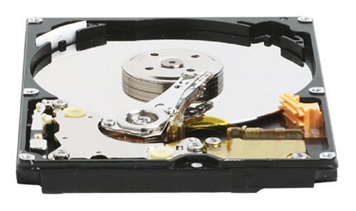 Western Digital 250 GB Scorpio Blue 100 Mb/s 5400 RPM 8 MB Cache Bulk/OEM Notebook Hard Drive - WD2500BEVE