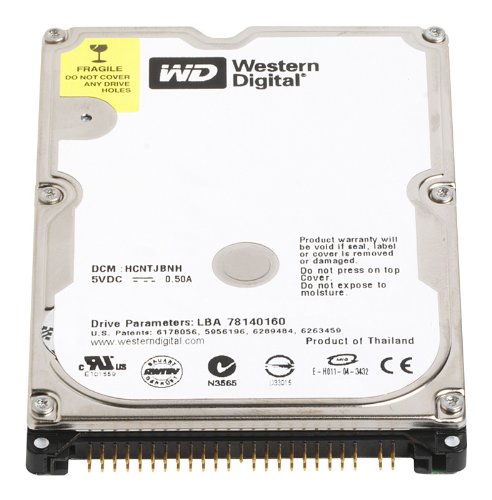Western Digital 250 GB Scorpio Blue 100 Mb/s 5400 RPM 8 MB Cache Bulk/OEM Notebook Hard Drive - WD2500BEVE
