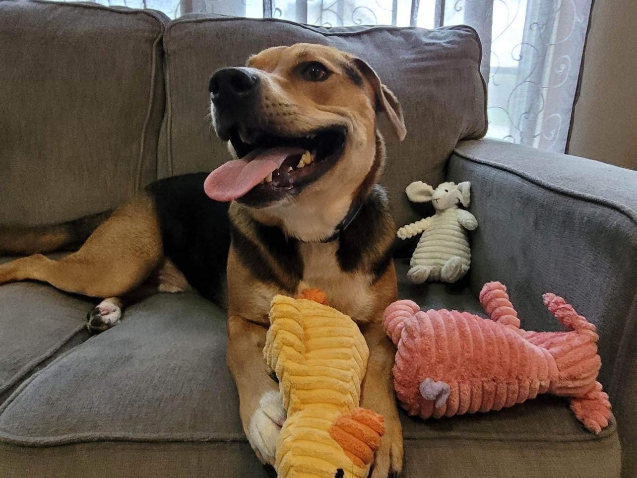 Adorable Plush and Squeaky Dog Chew Toys (3-Pack, Duck, Lamb, and Pig) - by Imbo Pets