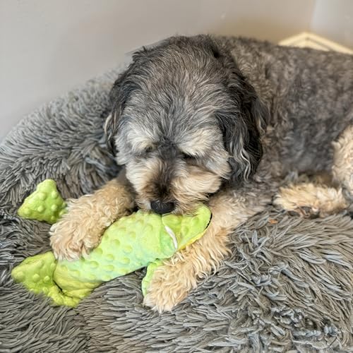 Ethical Pets 54093 Skinneeez Extreme Stuffing Free Dog Toy, 14", Frog, Green