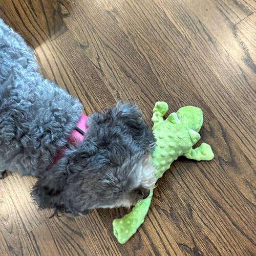 Ethical Pets 54093 Skinneeez Extreme Stuffing Free Dog Toy, 14", Frog, Green