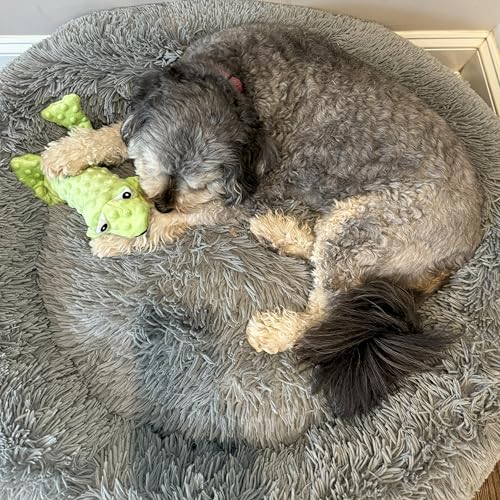 Ethical Pets 54093 Skinneeez Extreme Stuffing Free Dog Toy, 14", Frog, Green