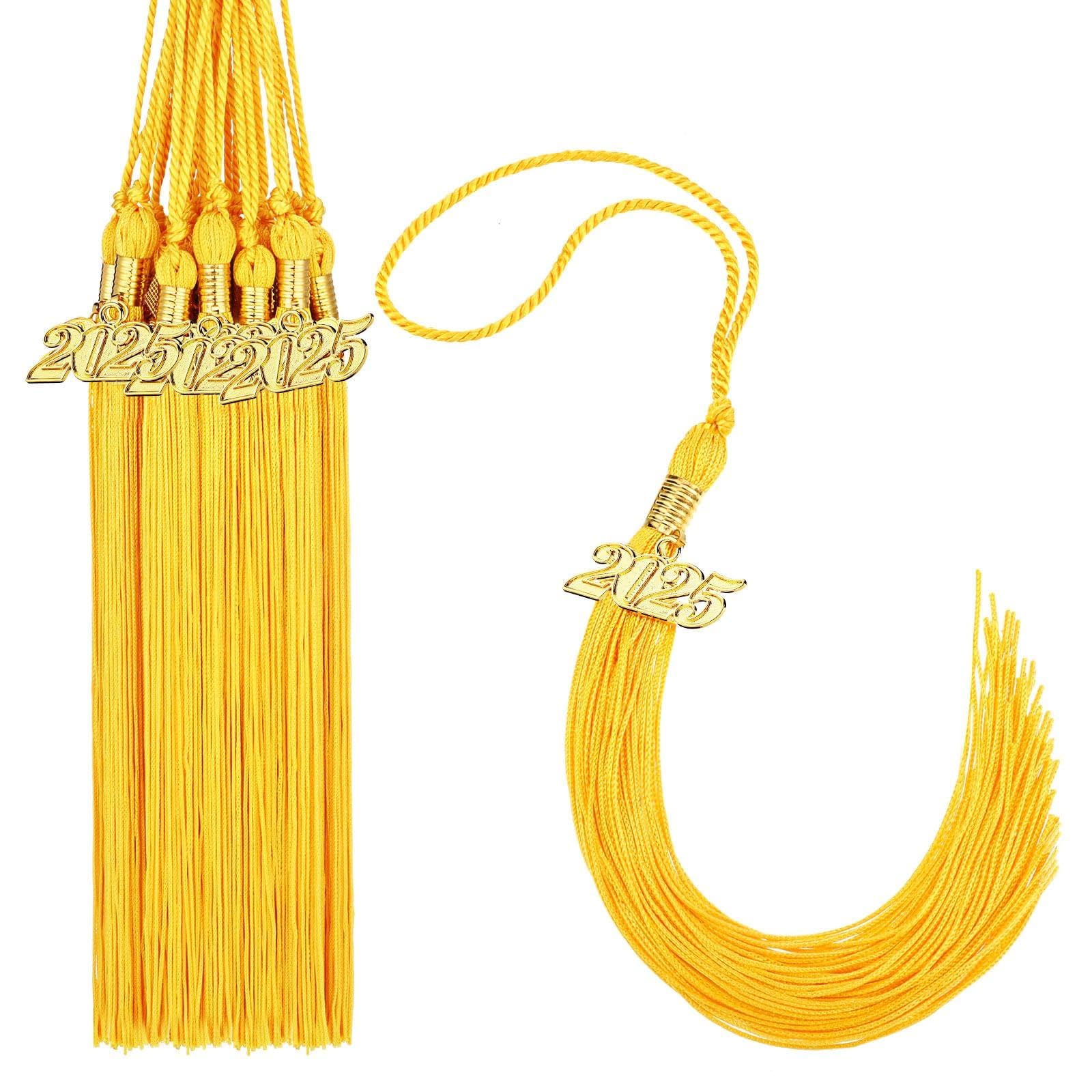 Boao 18 Pieces 2024 Graduation Tassel Academic Hat Tassels with 2024 Year Gold Date Pendants for Graduates Ceremonies Parties(Gold)