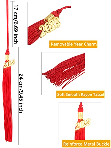 Fahacop 25 Pack 2023 Graduation Tassels Graduation Cap Tassel Charm Academic Graduation Tassels with Gold Date Charm for 2023 Year Graduation Party Ceremony (Red)