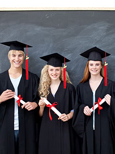 Fahacop 25 Pack 2023 Graduation Tassels Graduation Cap Tassel Charm Academic Graduation Tassels with Gold Date Charm for 2023 Year Graduation Party Ceremony (Red)