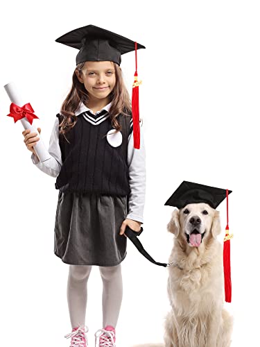 Fahacop 25 Pack 2023 Graduation Tassels Graduation Cap Tassel Charm Academic Graduation Tassels with Gold Date Charm for 2023 Year Graduation Party Ceremony (Red)