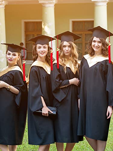 Fahacop 25 Pack 2023 Graduation Tassels Graduation Cap Tassel Charm Academic Graduation Tassels with Gold Date Charm for 2023 Year Graduation Party Ceremony (Red)