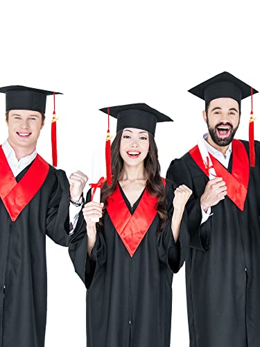 Fahacop 25 Pack 2023 Graduation Tassels Graduation Cap Tassel Charm Academic Graduation Tassels with Gold Date Charm for 2023 Year Graduation Party Ceremony (Red)