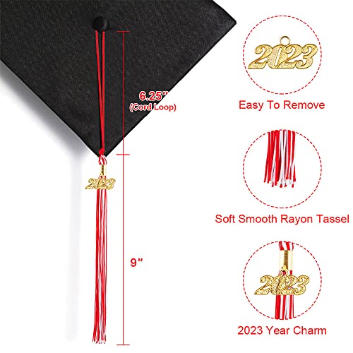 2023 Graduation Tassel, Graduation Tassel 2023, 2023 Tassel, Graduation Cap Tassel with The 2023 Year Gold Charms Red White for Graduation Cap Decorations