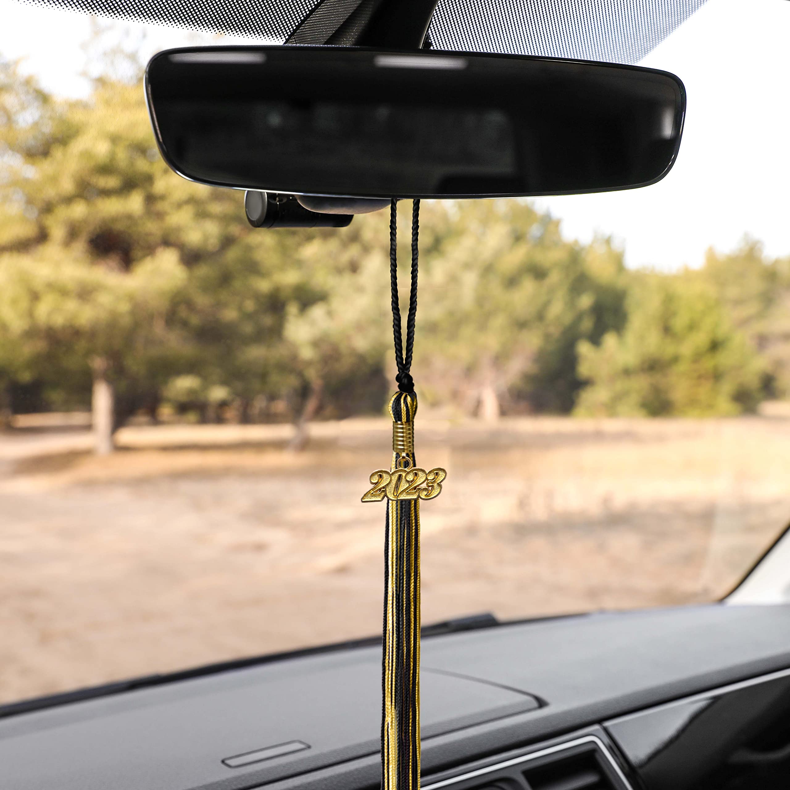Endea Graduation Mixed Double Color Tassel with Gold Date Drop (Black/Gold, 2023)