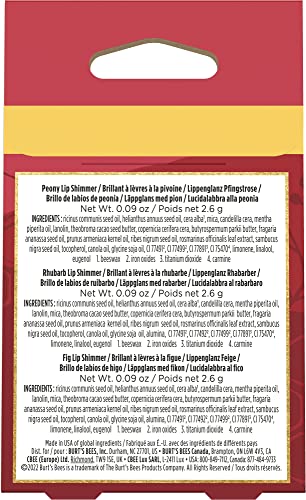 Burts Bees Kissable Color Warm Gift Set, 1 EA