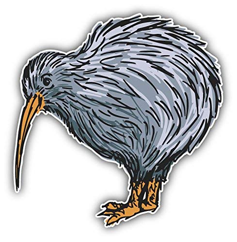 DG Graphics Kiwi Bird Sketch Art Decor 5'' x 5'' Magnet Vinyl Magnetic Sheet for Lockers, Cars, Signs, Refrigerator