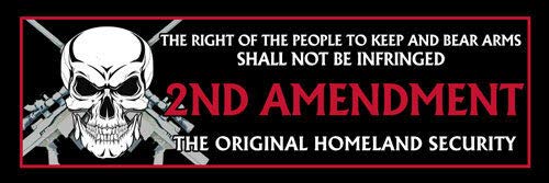 Magnet 3x9 inch 2nd Amendment Original Homeland Security Bumper Sticker - Guns NRA arms Magnetic Magnet Vinyl Sticker