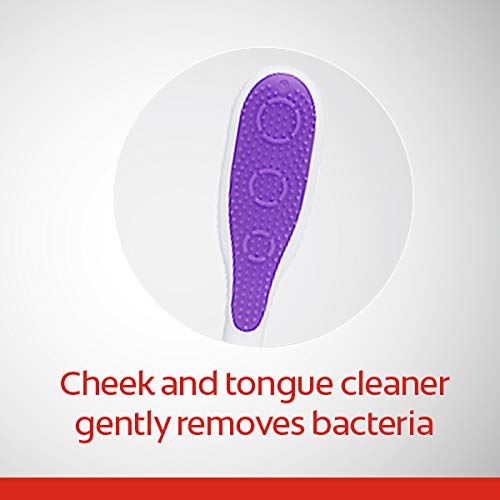 Colgate 360 Whole Mouth Clean , Medium Toothbrush for Adults, 4 Pack