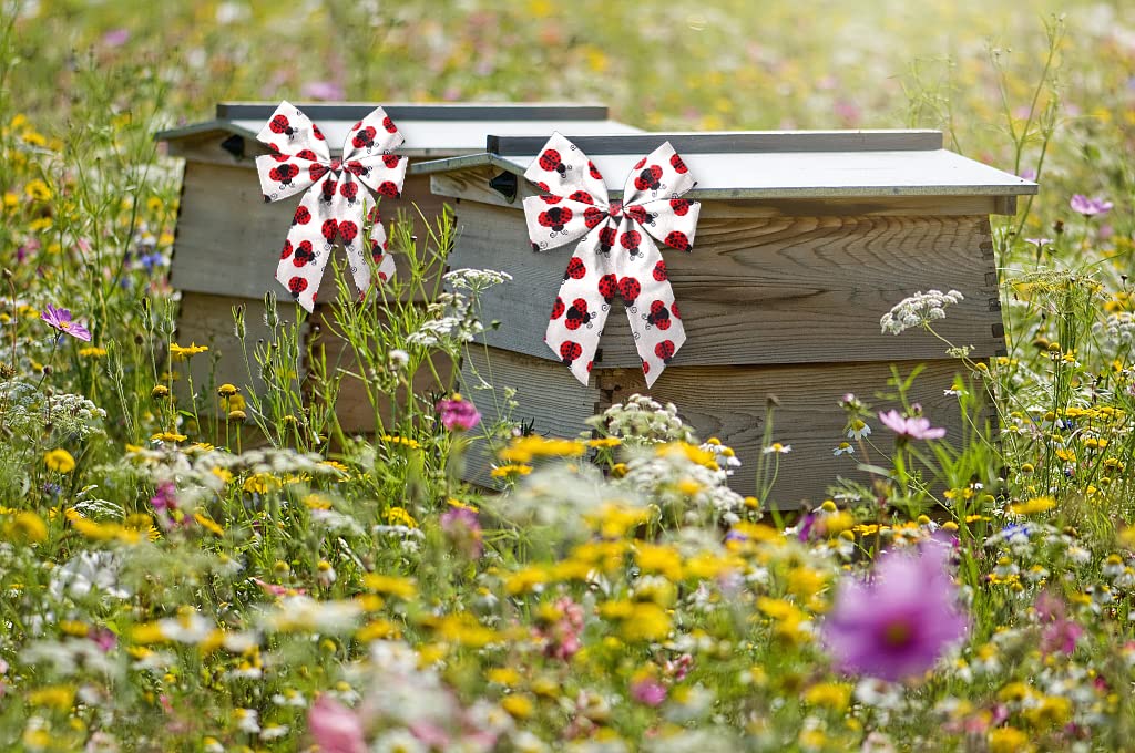 Hying 2 Rolls Spring Ladybug Ribbons Wired for Wreath Bows Wrapping Gifts, Red Polka Dot Ribbon for Gift Wrapping Birthday Party Decoration DIY Crafts, 2.5" X 10 Yards Red Lady Bug Wired Edge Ribbon