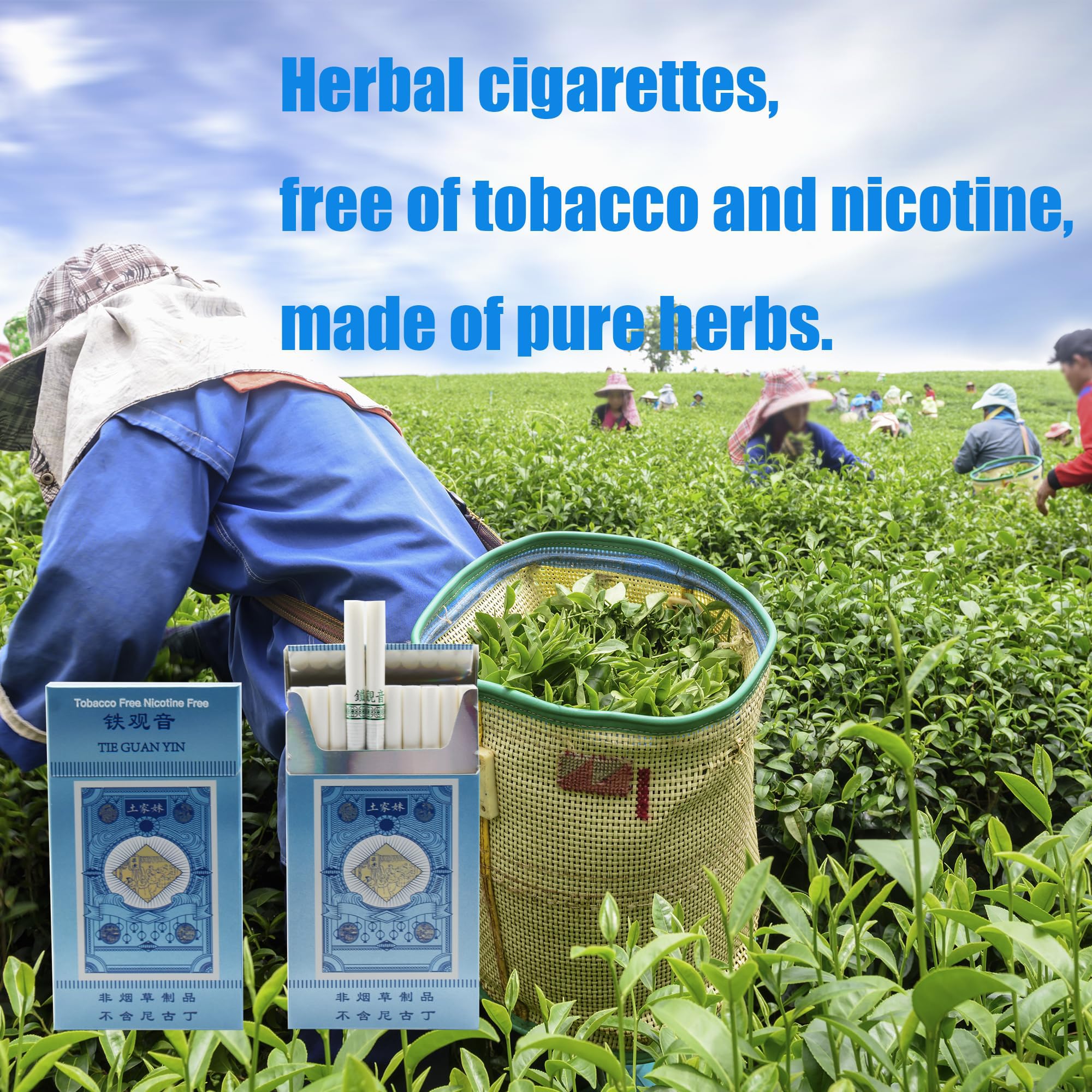 Fetcasy® Herbal Cigarettes - Tobacco and Nicotine Free, 2 Packs 40 Smokes