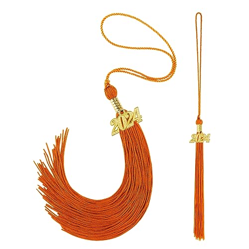 2 Pcs 2024 Tassel, 24 Tassel Graduation, Orange 2024 Tassel, Tassel Toppers Graduation Caps, Graduation Memorial Tassel Charm, 2024 Tassel Graduation Charm 2 Pcs
