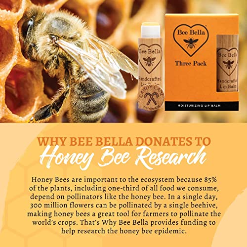 Bee Bella Lip Balm Stocking Stuffers, Candy Cane Scent, Moisturizing Lip Care Christmas Gifts, 100% Natural, Original Beeswax with Vitamin E, Handmade in USA (3 Pack)