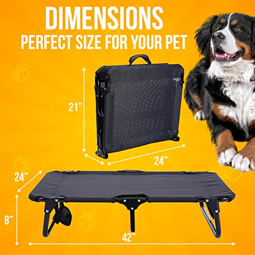 Elevated Dog Cot with Steel Frame – Foldable Raised Play & Rest Bed for Dogs & Cats – Heavy Duty Strong Material Dog Bed, No Assembly Required Large (42" x 24" x 8")
