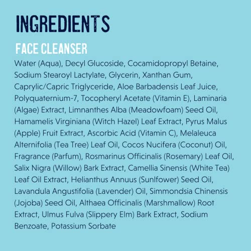 Young King Skin Care Hydrating Face Cleanser | Hydrates and Balances Skin | Plant Based and Vegan Friendly | 6 oz (Pack of 2)