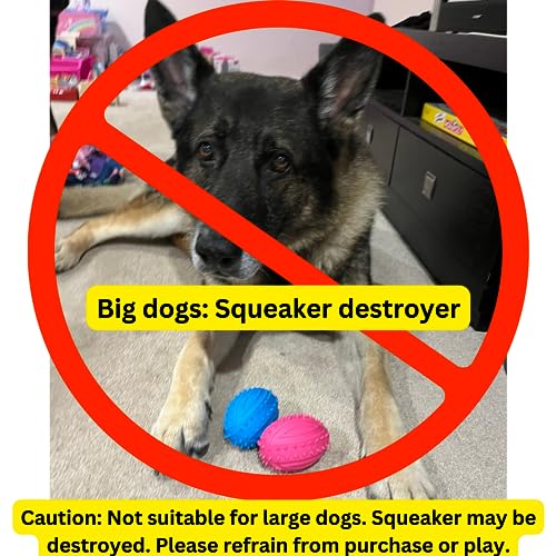 Mias Pawsome Pets Rugby Football Dog Squeaky Chew Toy: for Fetch and Teeth Cleaning Ball, for Small to Medium Breeds