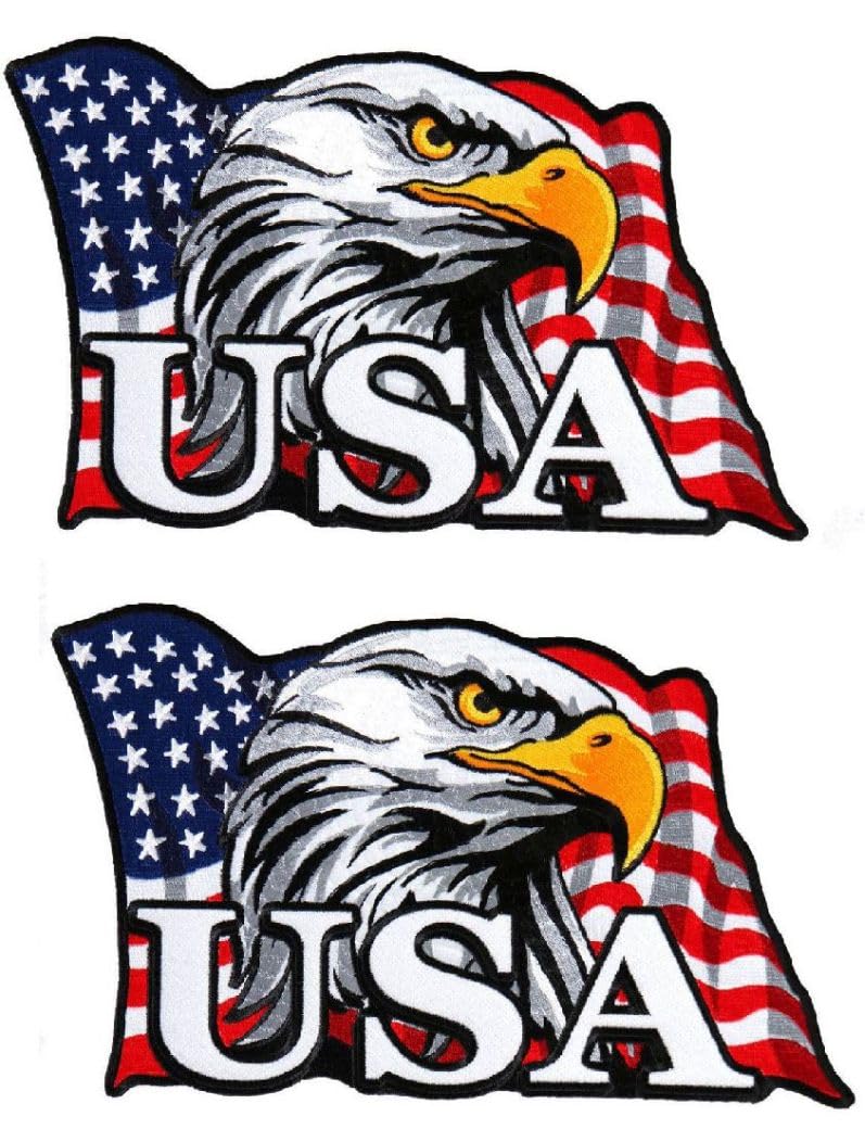 Patch Force Eagle Head Flag, High Thread Embroidered Patch 2PC Bundle Set - 4 x 3 Inch Iron On Sew On B453