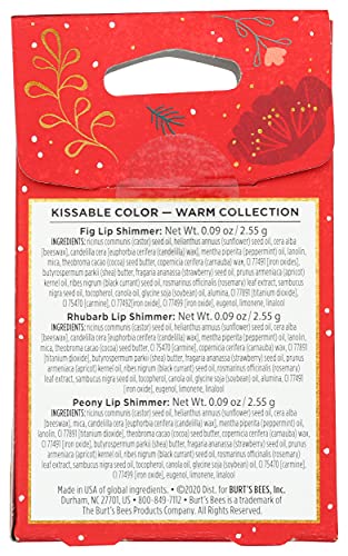 Burts Bees Warm Kissable Color Gift Set, 1 EA