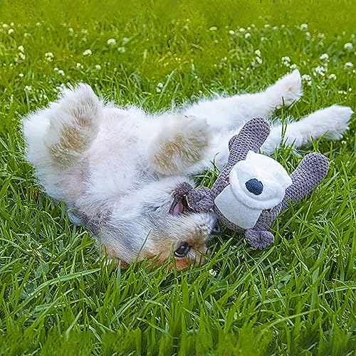 Unique Bulldog Plush Toy - Adorable Crinkle Toy with Squeaker - Suitable for Puppies to Large Dogs