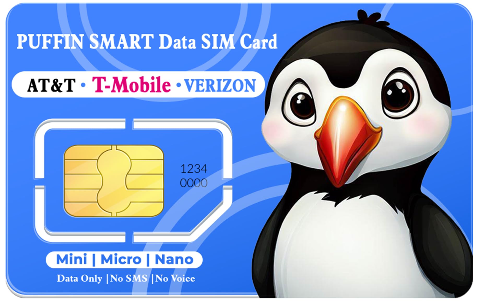 Spectrum Smart Data Only SIM Card: for Security Cameras, Trail Cameras, Hunting Cameras, Hotspots, Tablets, No Voice & No Text