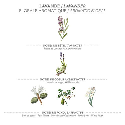Panier des Sens Lavender Hand cream for dry cracked hands with Olive oil - Made in France 97% natural - 2.6floz/75ml