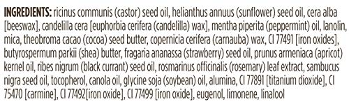 Burt's Bees Lip Balm Easter Basket Stuffers, Moisturizing Lip Shimmer Spring Gift for Women, for All Day Hydration, with Vitamin E & Coconut Oil, 100% Natural, Fig, 0.09 Ounce