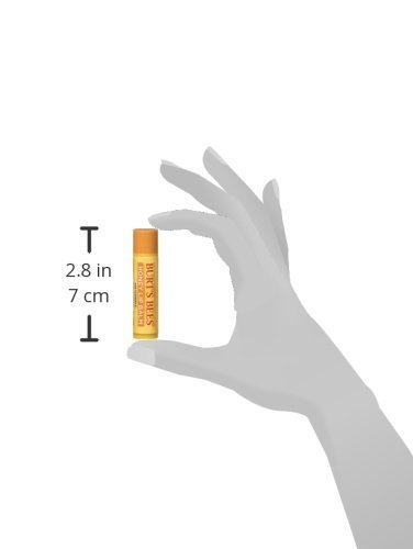 Burt's Bees 100% Natural Moisturizing Lip Balm, Honey with Beeswax - 1 Tube, 0.15 Ounce
