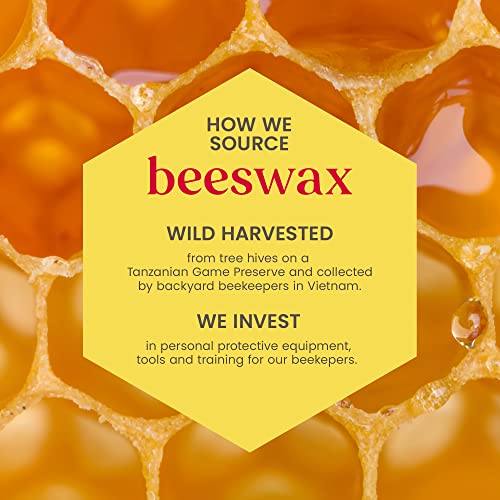 Burts Bees Beeswax Bounty Lip Balm Gift Set, 0.15 OZ