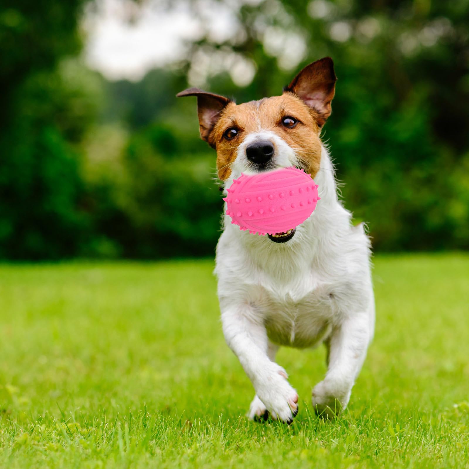 LUOZZY 3Pcs Dog Chewing Ball Puppy Squeaky Ball Interactive Teething Rugby Ball Toy Indoor Outdoor Plaything Pet Supply