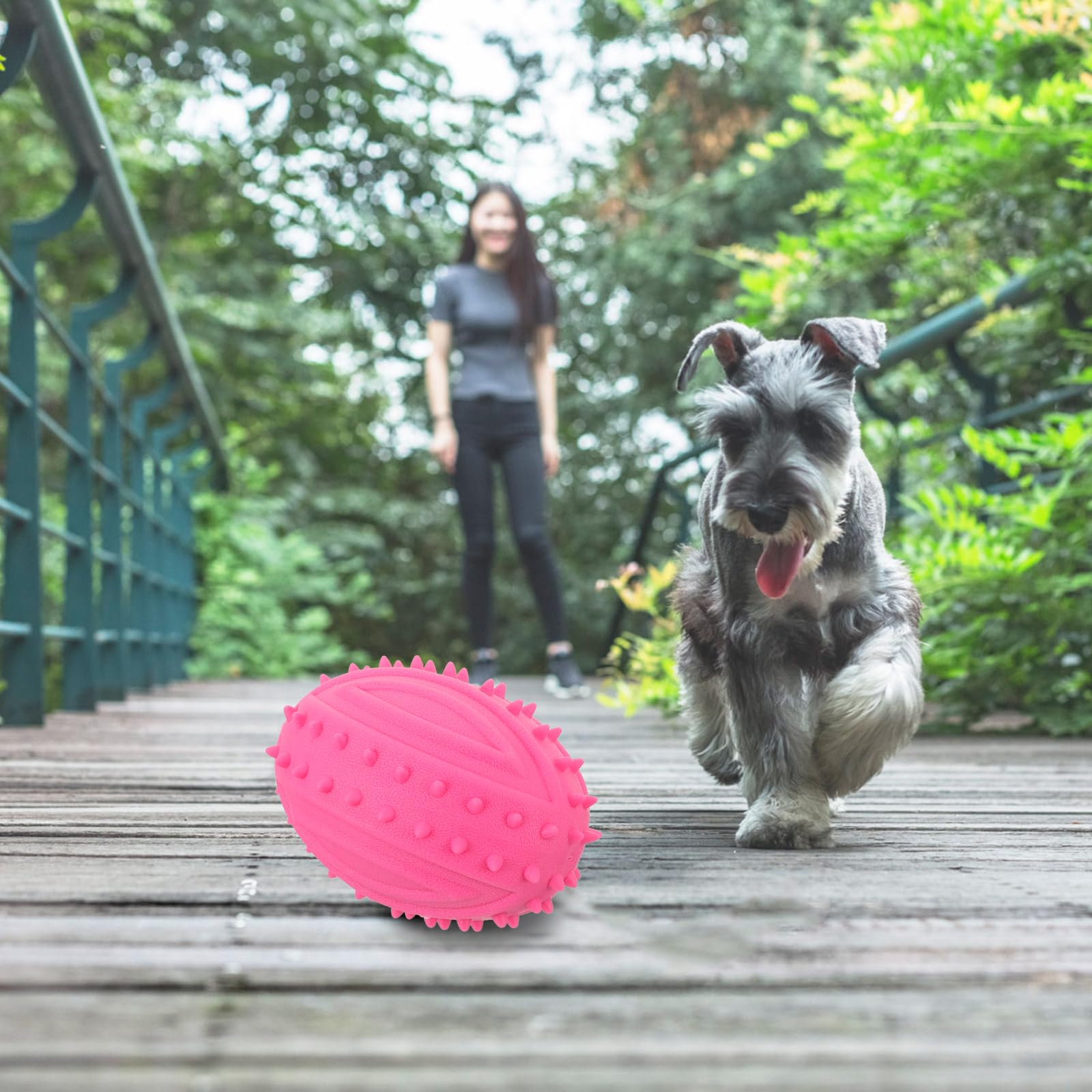 LUOZZY 3Pcs Dog Chewing Ball Puppy Squeaky Ball Interactive Teething Rugby Ball Toy Indoor Outdoor Plaything Pet Supply