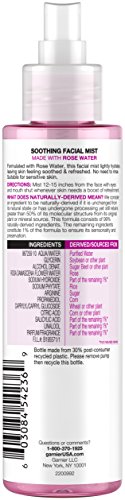 Garnier SkinActive Facial Mist Spray with Rose Water, 4.4 Fl Oz (Pack of 1)