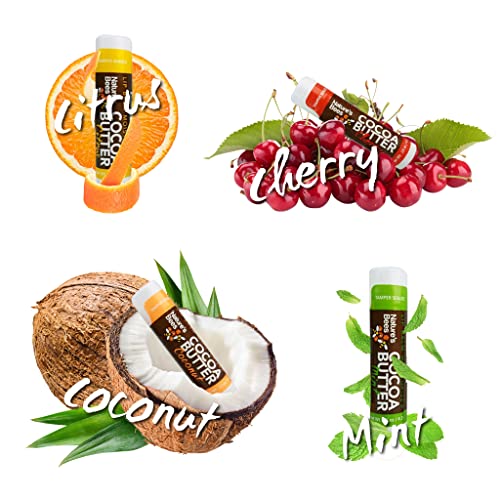Nature's Bees 24 Pack Cocoa Butter Lip Balm Tubes Moisturizer Chap Treatment (Tropical 4 Flavors, 6 of Each)