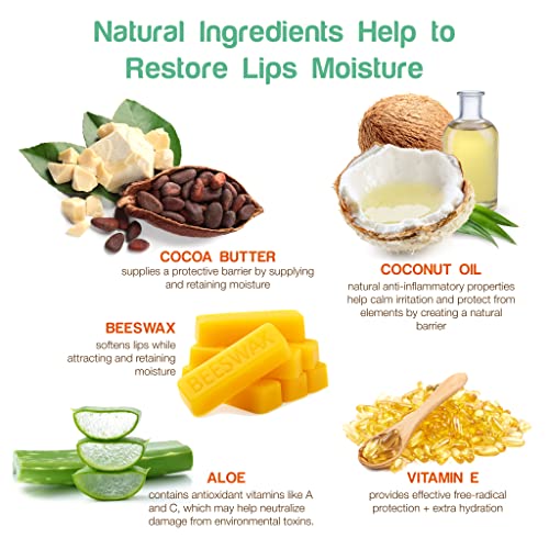 Nature's Bees 24 Pack Cocoa Butter Lip Balm Tubes Moisturizer Chap Treatment (Tropical 4 Flavors, 6 of Each)