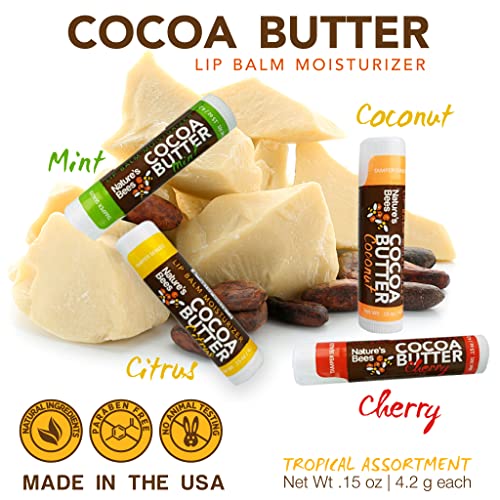 Nature's Bees 24 Pack Cocoa Butter Lip Balm Tubes Moisturizer Chap Treatment (Tropical 4 Flavors, 6 of Each)